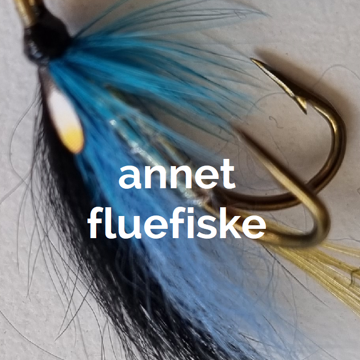 fiskeutstyr :: Rogis